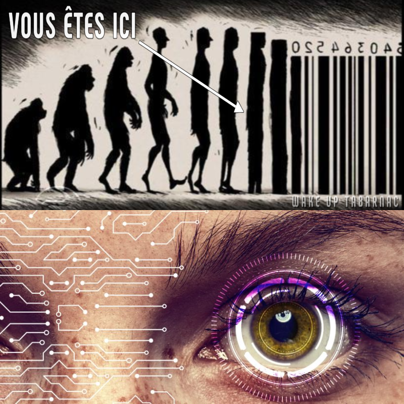 L’IDENTITÉ NUMÉRIQUE AU QUÉBEC – Mel Goyer