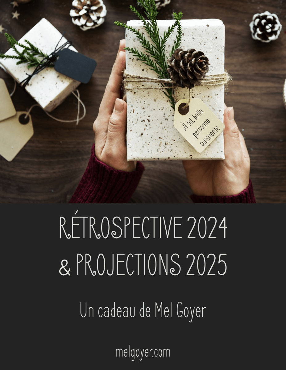 Rétrospective 2024 & Projections 2025 – Mel Goyer